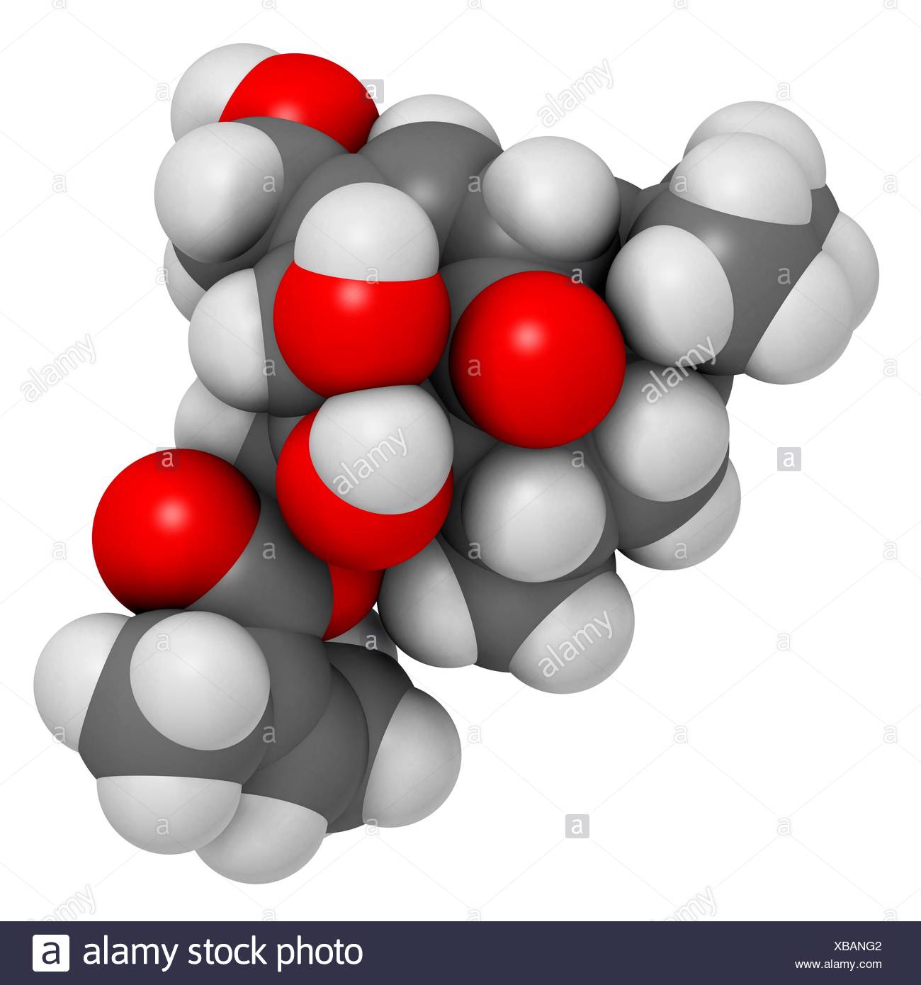 Ingenol High Resolution Stock Photography and Images - Alamy