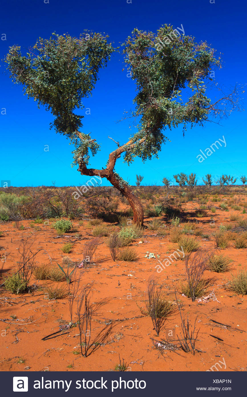 Australian Road Outback High Resolution Stock Photography and Images ...