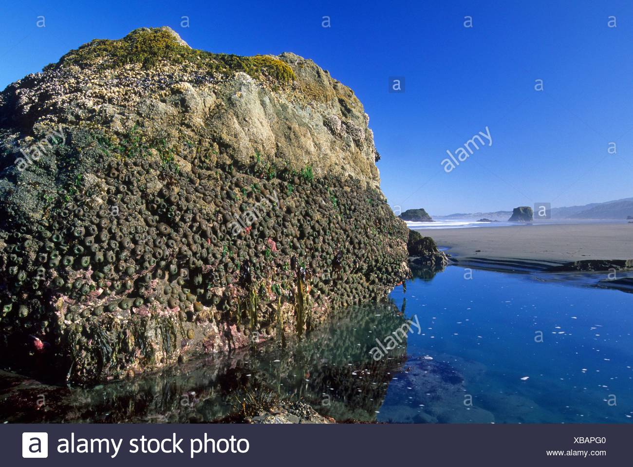 Pistol River State Beach Stock Photos & Pistol River State Beach Stock ...
