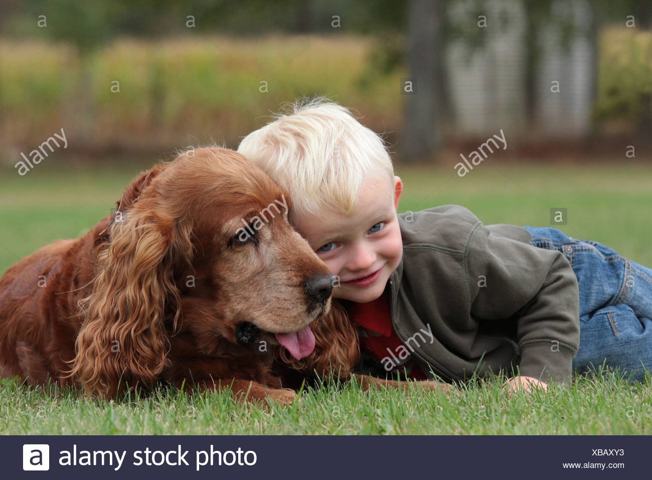Child And Cocker Spaniel High Resolution Stock Photography and Images ...