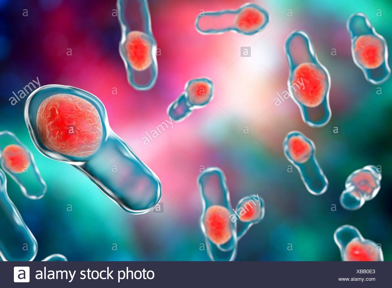 Hospital Associated Infection High Resolution Stock Photography and ...