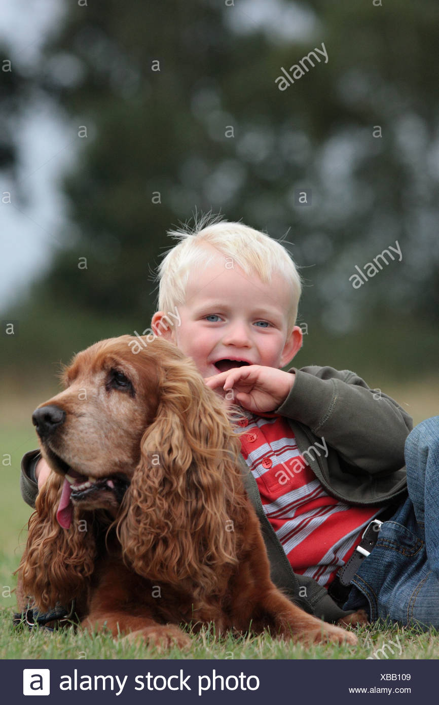 Child And Cocker Spaniel High Resolution Stock Photography and Images ...
