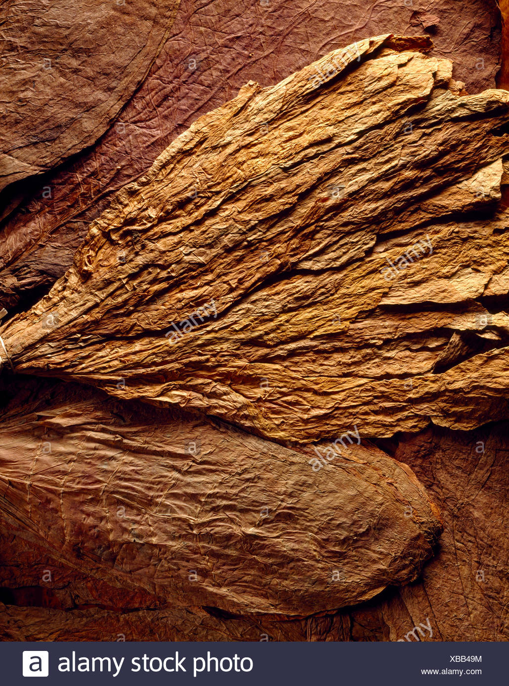 Tobacco Chew Stock Photos & Tobacco Chew Stock Images - Alamy