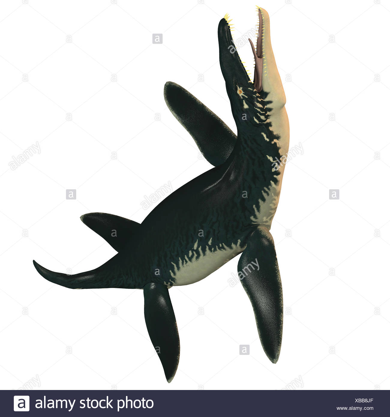 Liopleurodon High Resolution Stock Photography and Images - Alamy