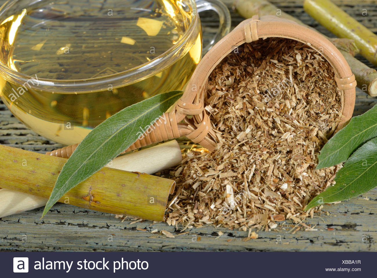 White Willow Tree Bark High Resolution Stock Photography and Images - Alamy
