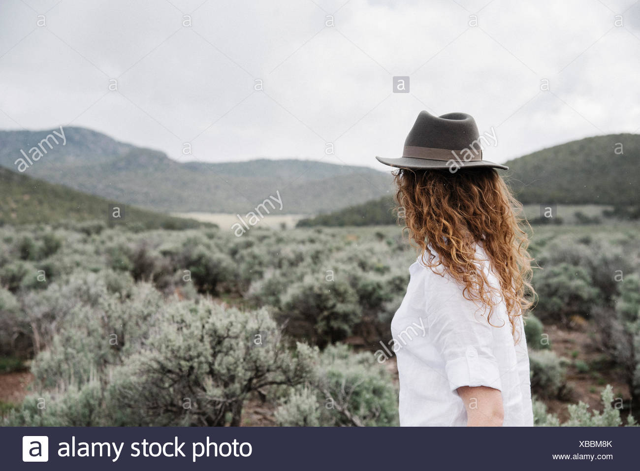 Fedora Hat Side View High Resolution Stock Photography and Images - Alamy