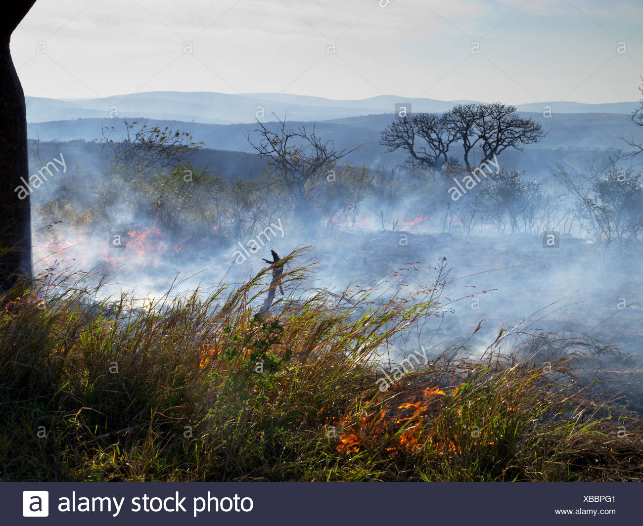 Burning Savannah Stock Photos & Burning Savannah Stock Images - Alamy