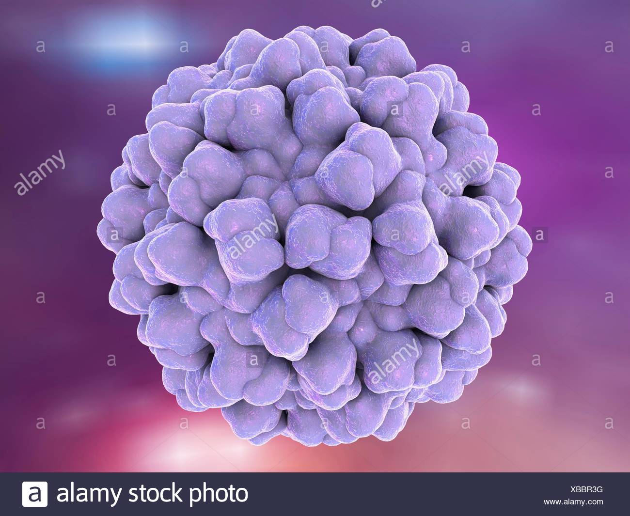 Necrosis High Resolution Stock Photography and Images - Alamy