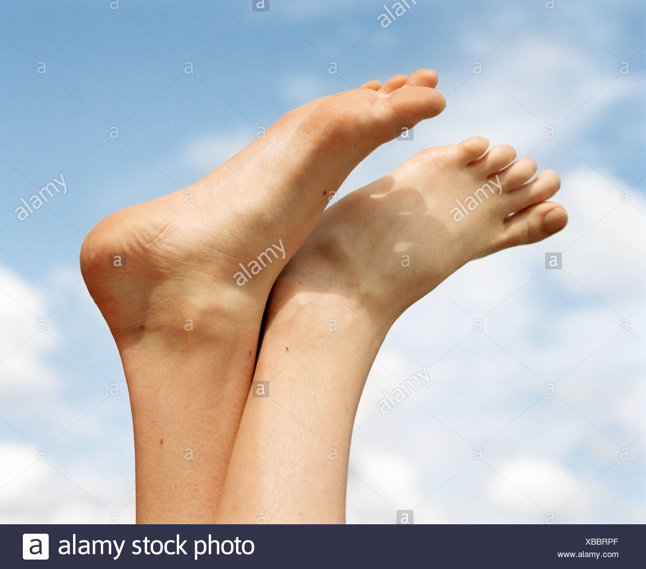 Raised By A Human High Resolution Stock Photography and Images - Alamy