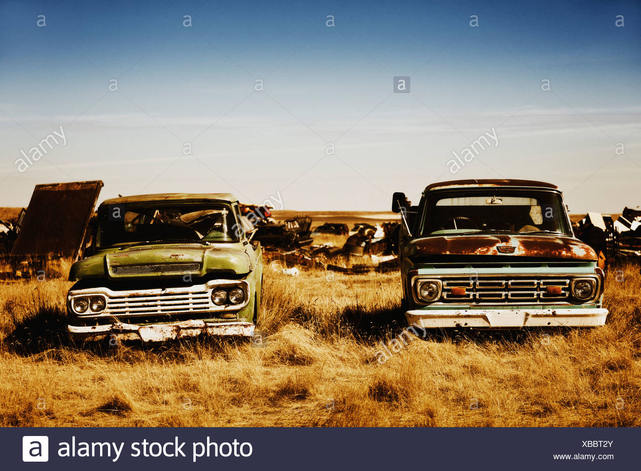 Car Junk Yard Us High Resolution Stock Photography and Images - Alamy