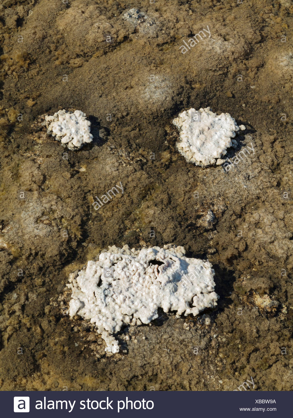 Salt Deposits Up Close High Resolution Stock Photography and Images - Alamy