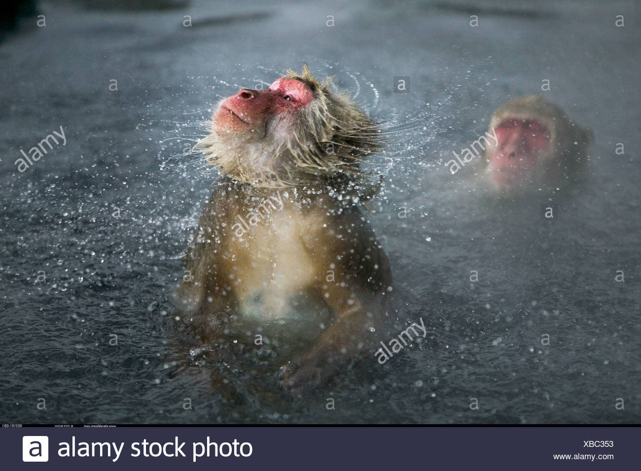 Happy Japan High Resolution Stock Photography and Images - Alamy