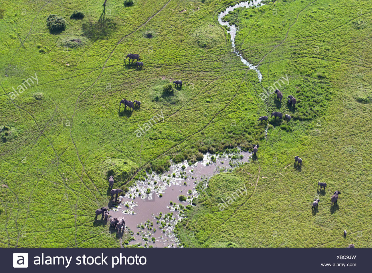 Aerial View Of Masai Mara Plain High Resolution Stock Photography and ...