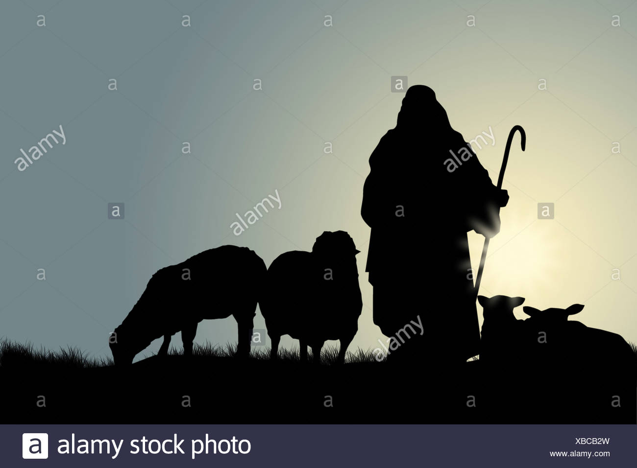 Silhouette Shepherd Sheep Stock Photos & Silhouette Shepherd Sheep ... Silhouette Shepherd Sheep Stock Photos & Silhouette Shepherd Sheep ...