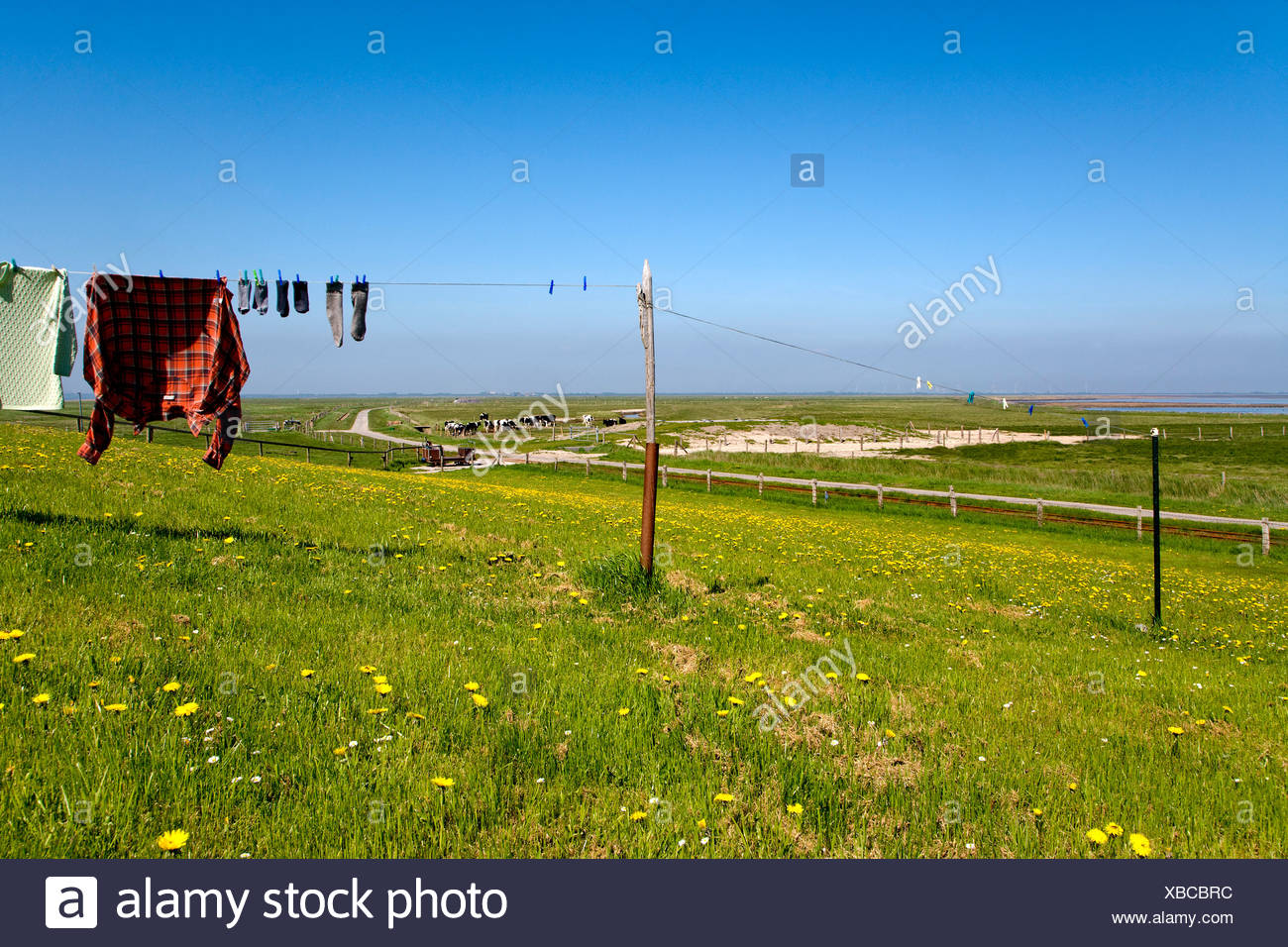 Hallig Oland High Resolution Stock Photography and Images - Alamy