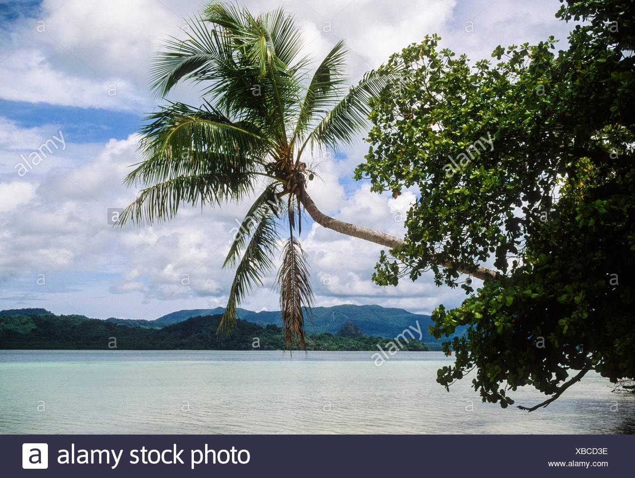 Pohnpei, Micronesia High Resolution Stock Photography and Images - Alamy