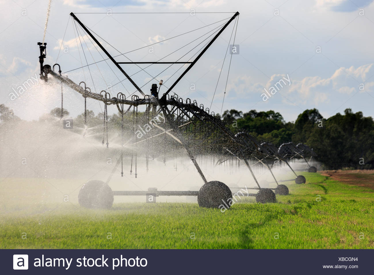 Lateral Move Irrigation High Resolution Stock Photography and Images ...