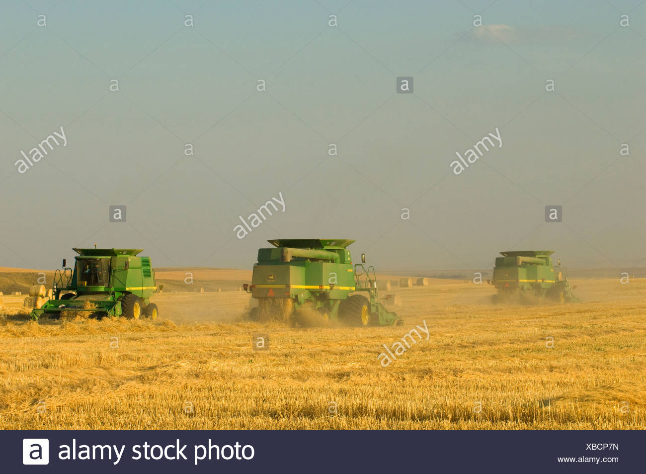 Grain Production High Resolution Stock Photography and Images - Alamy