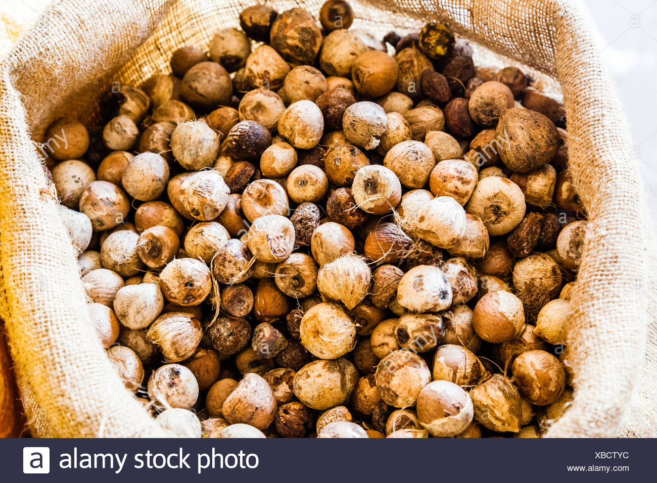 Palm Nuts High Resolution Stock Photography and Images - Alamy
