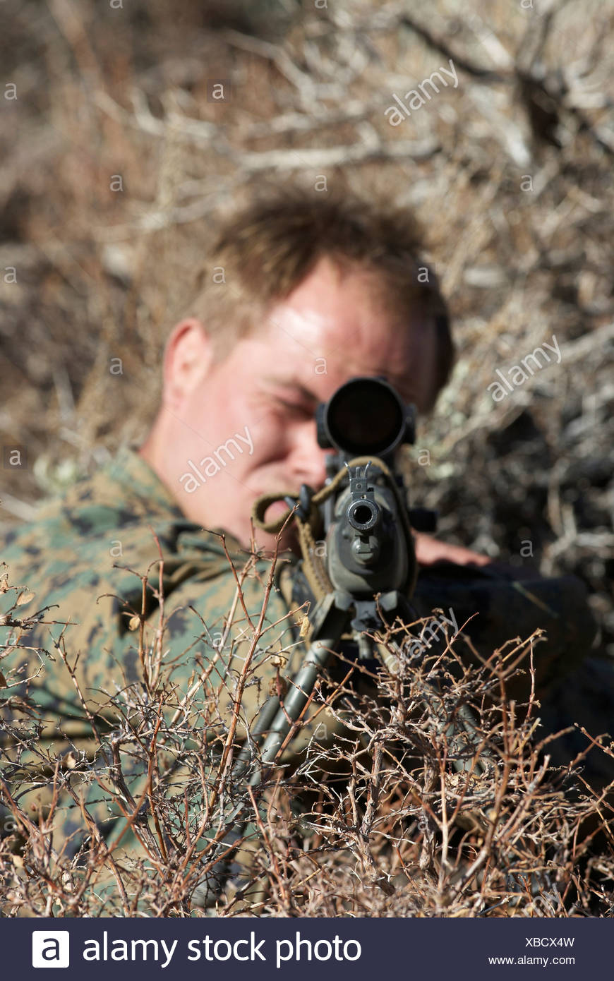 Us Marine Corps Sniper Firing High Resolution Stock Photography and ...