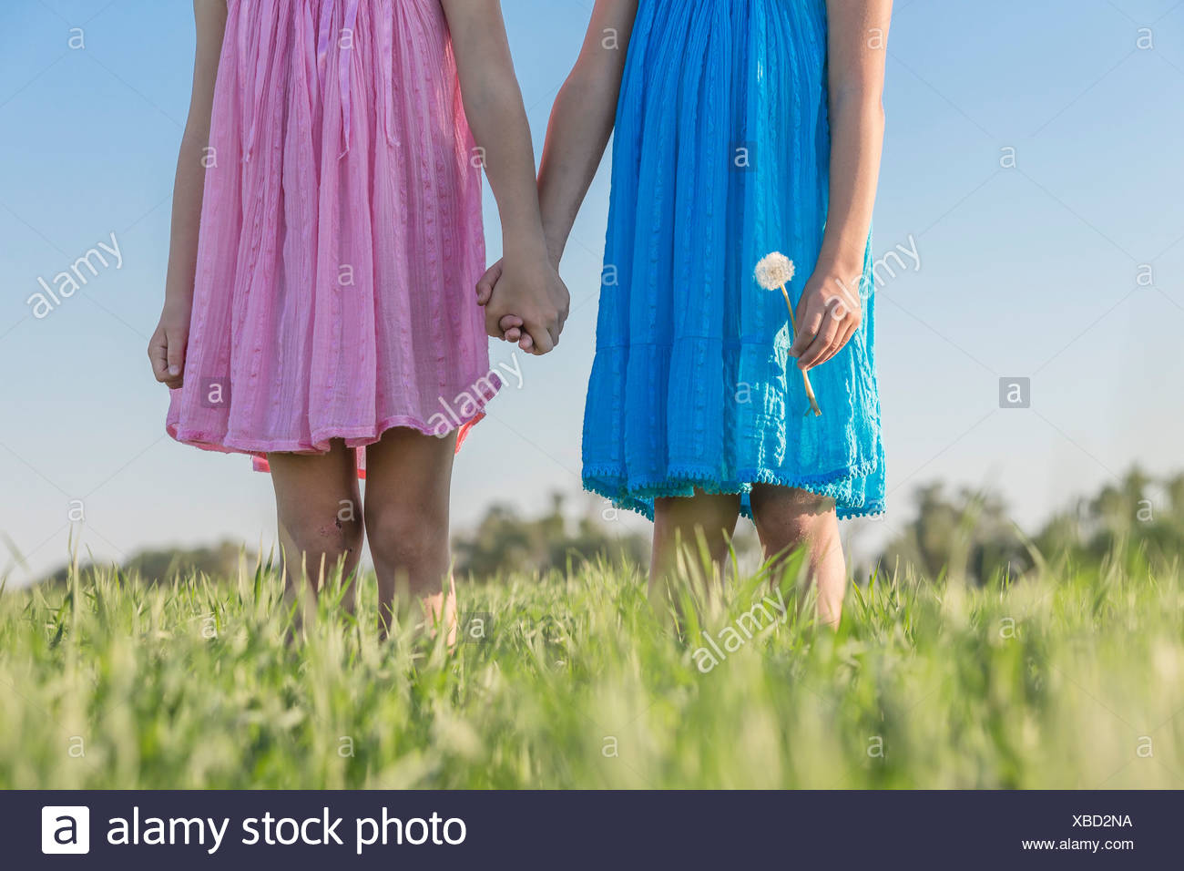 Sisters Holding Hands Field Stock Photos & Sisters Holding Hands Field ...