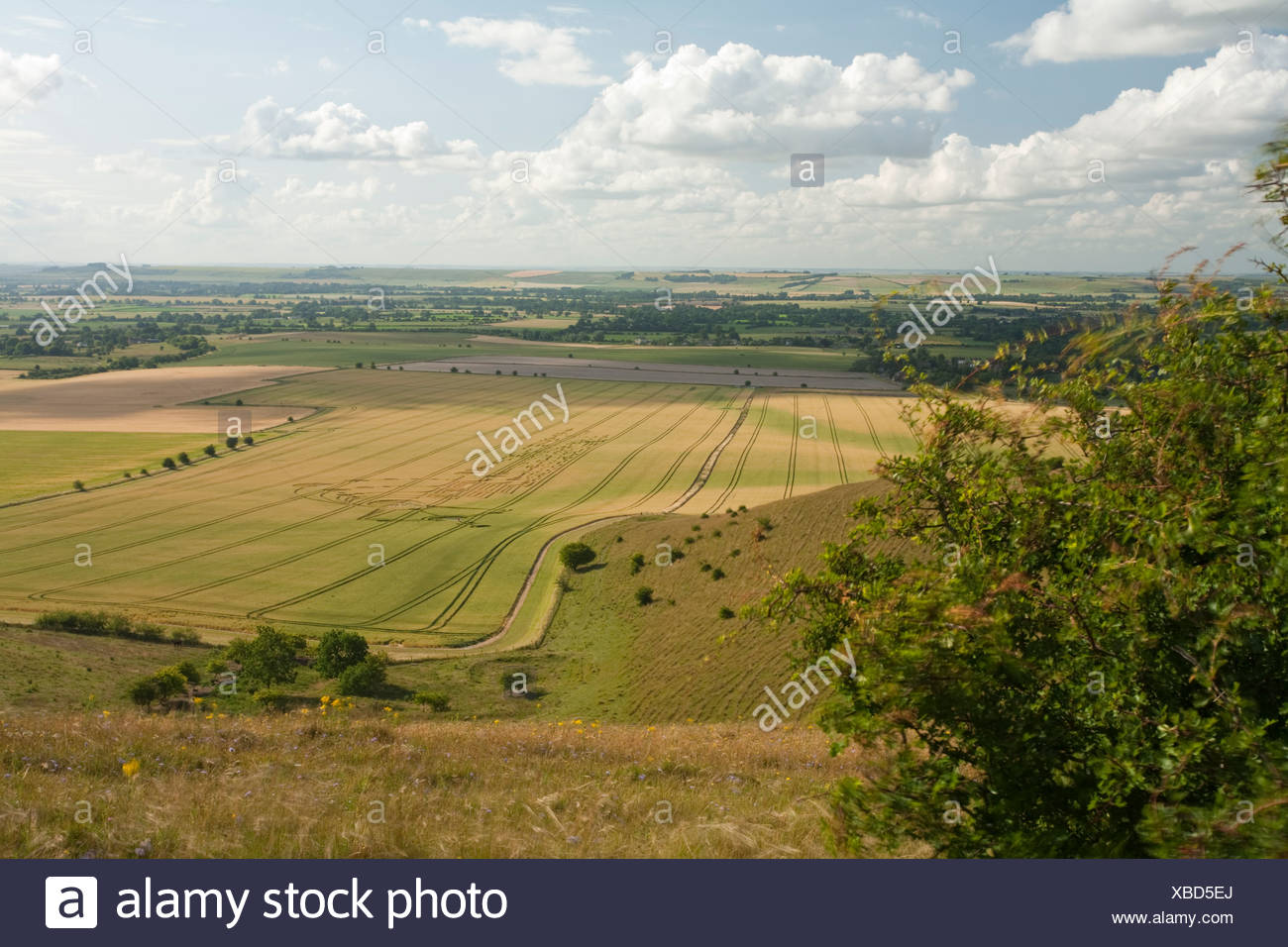 Crop Circles Uk High Resolution Stock Photography and Images - Alamy