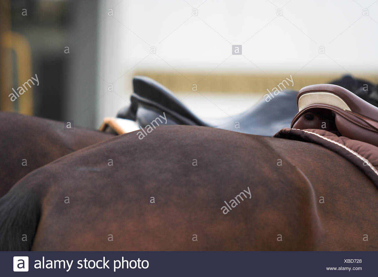 Kruppe High Resolution Stock Photography and Images - Alamy