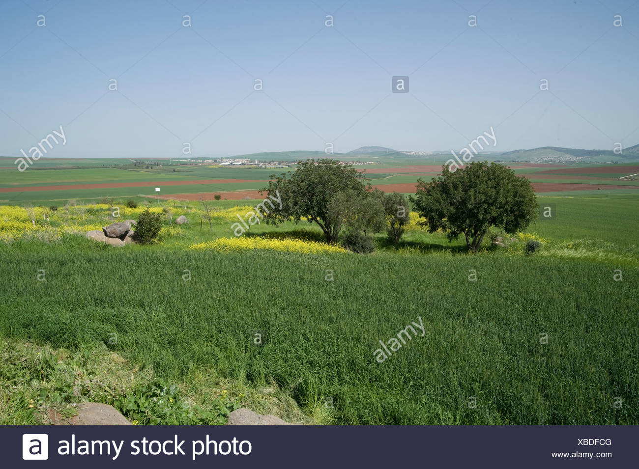 Biblical Scenery High Resolution Stock Photography and Images - Alamy
