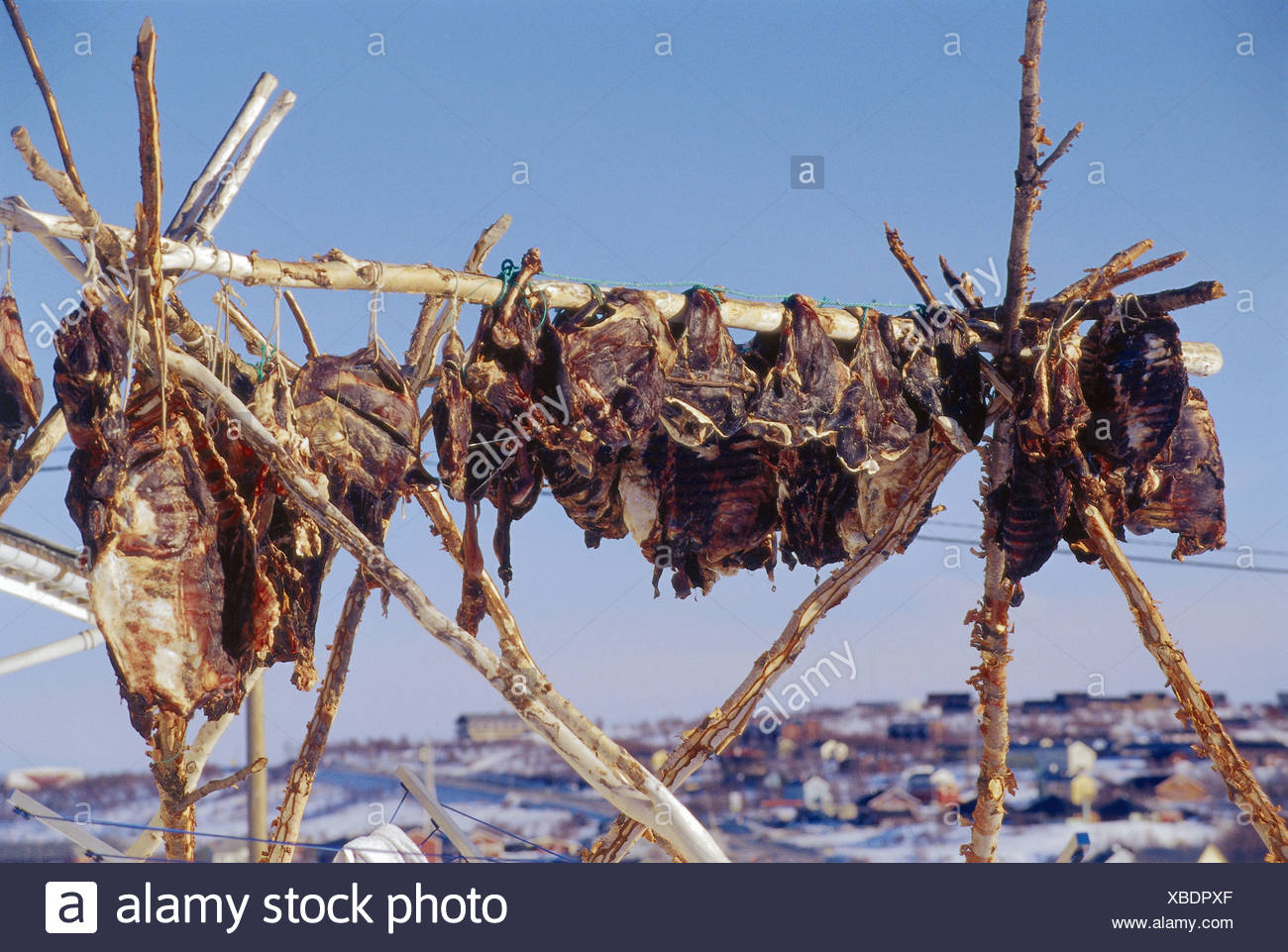Schlachtung Stock Photos & Schlachtung Stock Images - Alamy