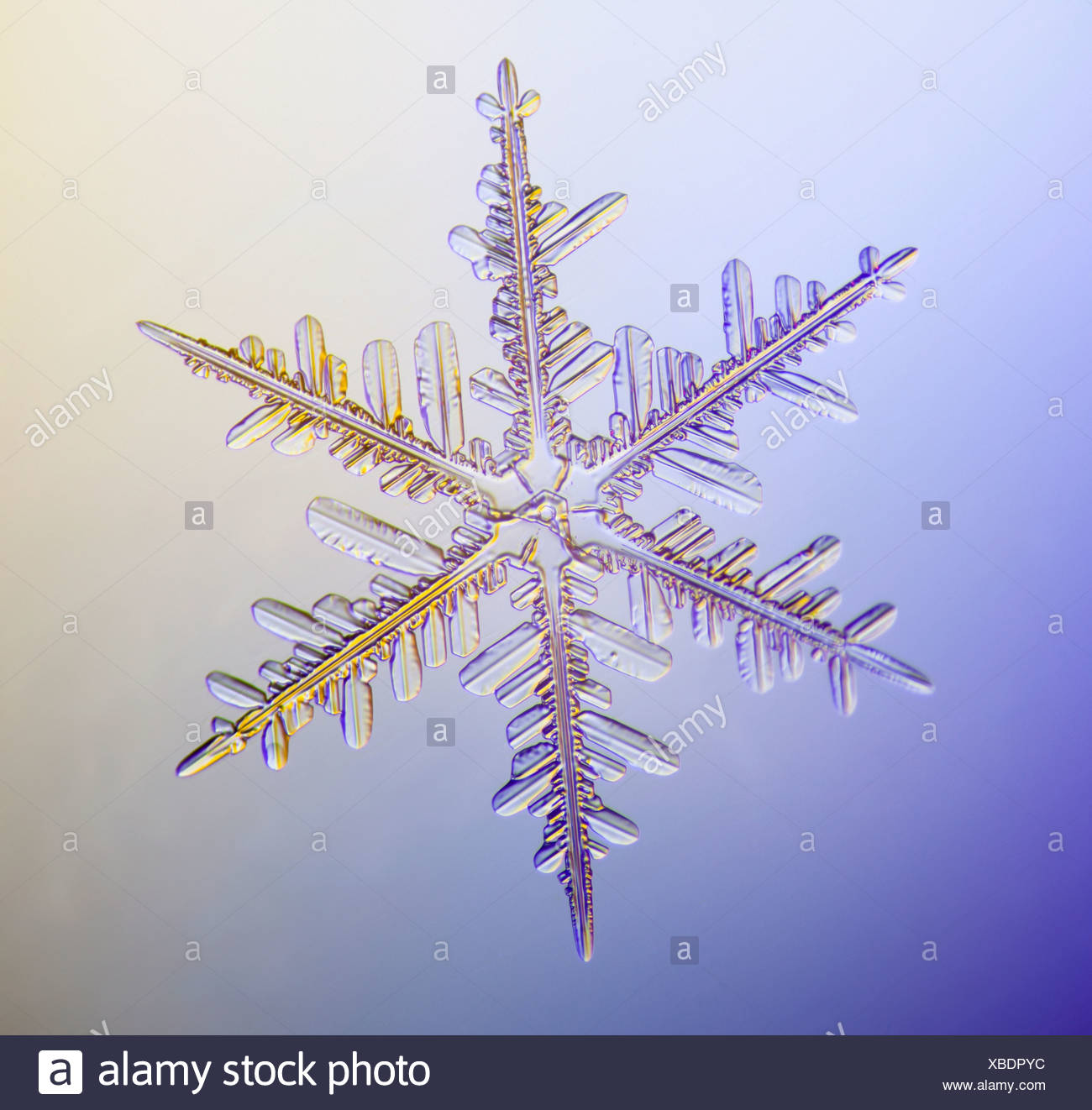 Ice Crystals Microscope High Resolution Stock Photography and Images ...