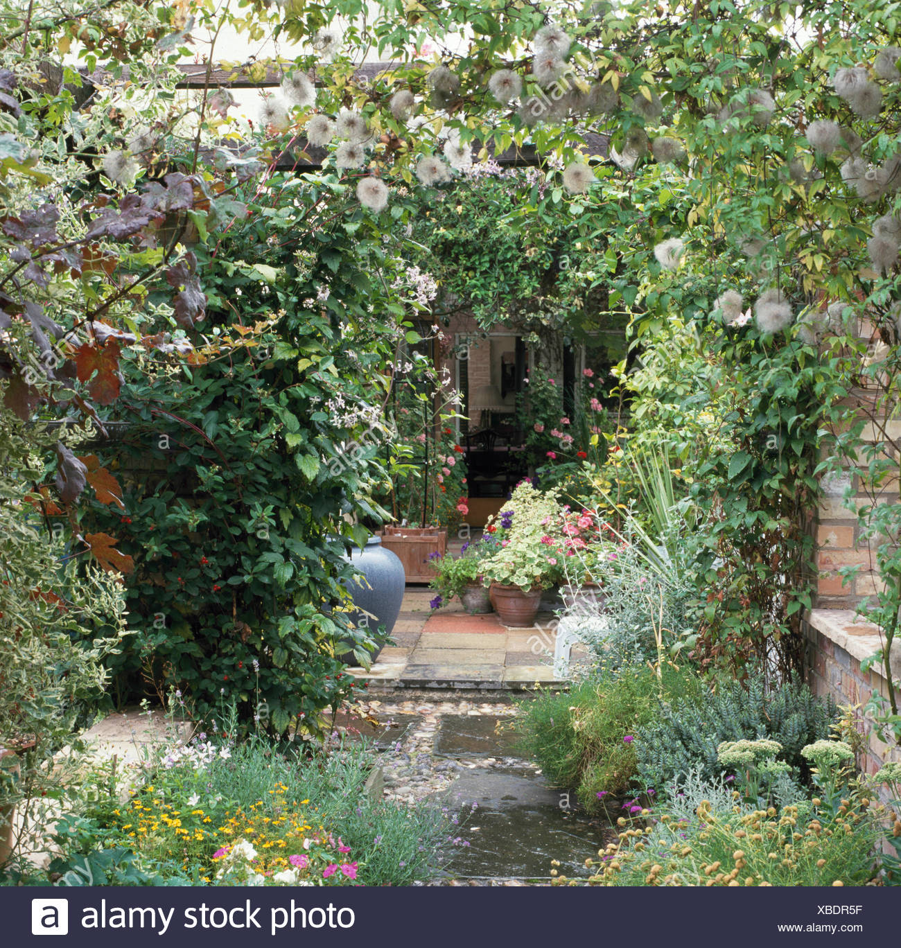 Clematis Arch Stock Photos & Clematis Arch Stock Images - Alamy