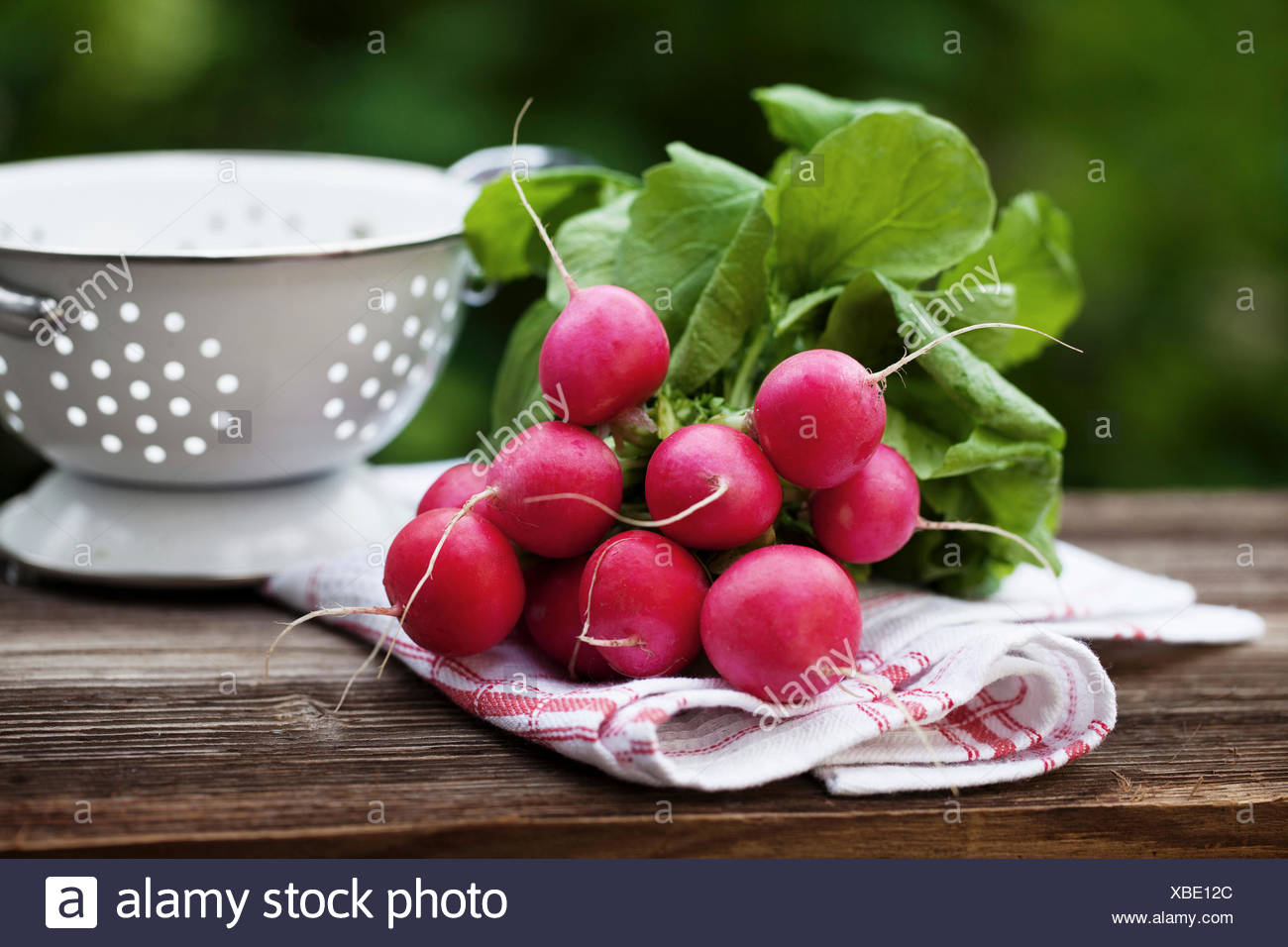 Raddish Stock Photos & Raddish Stock Images - Alamy