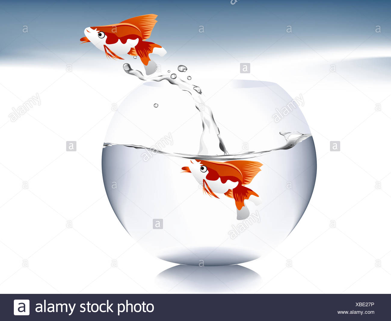 Gold Fish Jumping Out Of Fish Bowl High Resolution Stock Photography ...