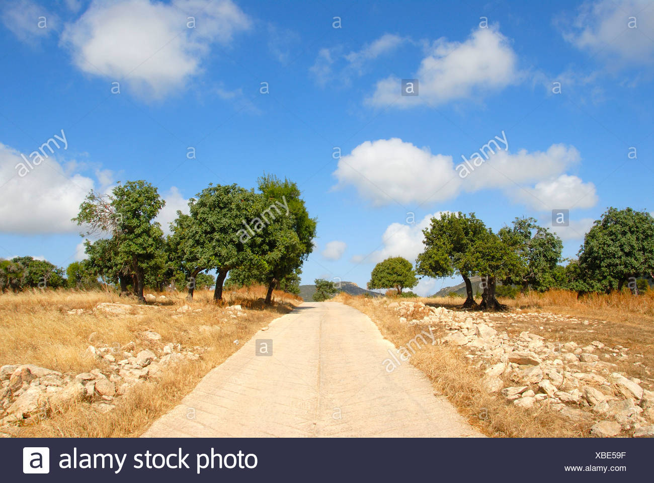 Straight Path Pathway High Resolution Stock Photography and Images - Alamy