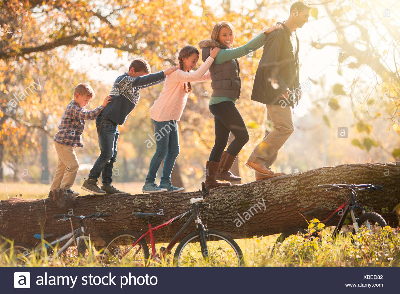 Log Walking Stock Photos & Log Walking Stock Images - Alamy