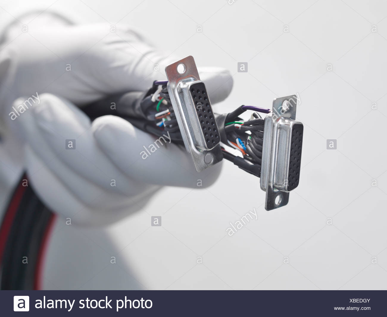 Men Hand Holding High Resolution Stock Photography and Images - Alamy