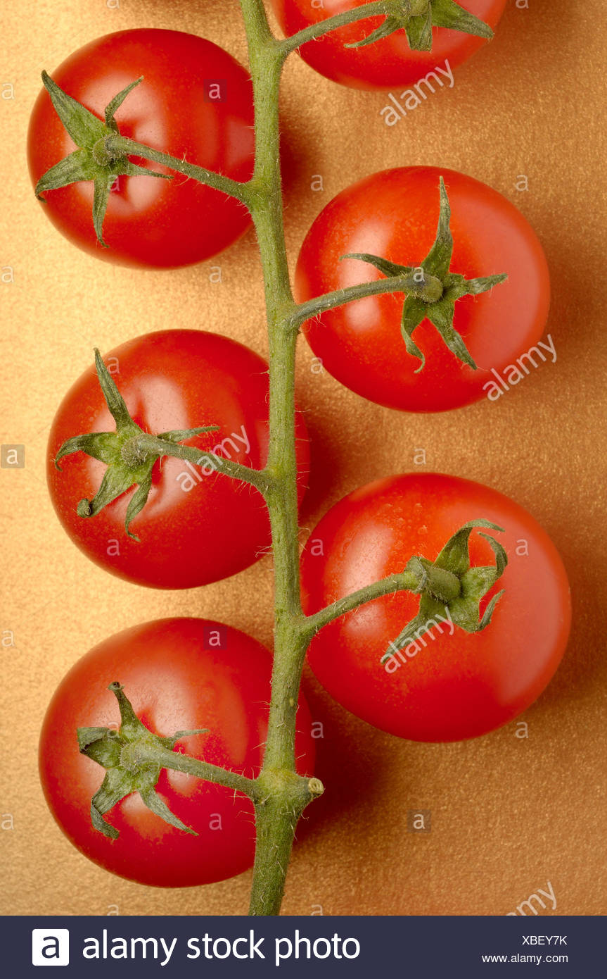 Truss Tomatoes High Resolution Stock Photography and Images - Alamy