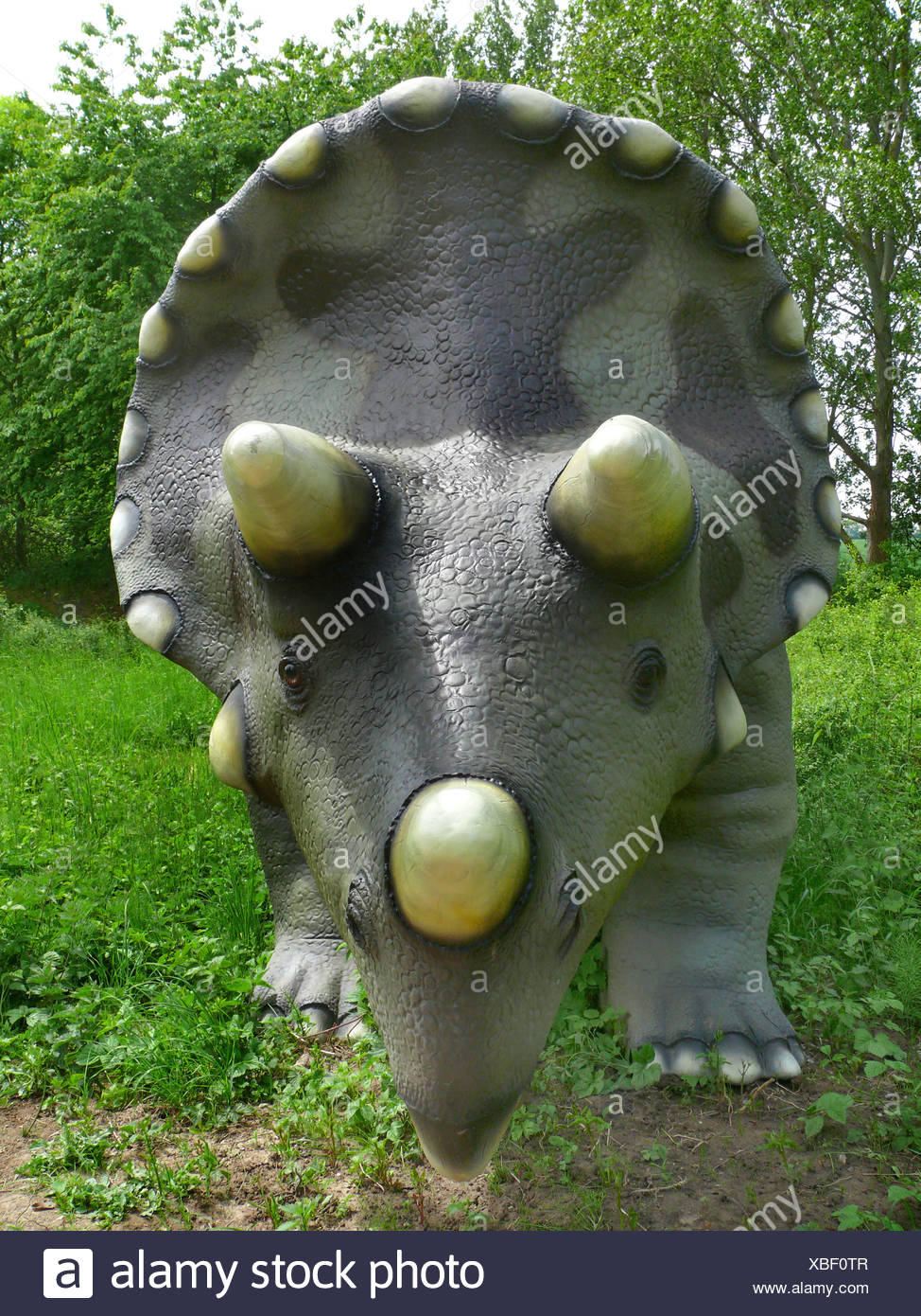 Triceratops Model High Resolution Stock Photography and Images - Alamy