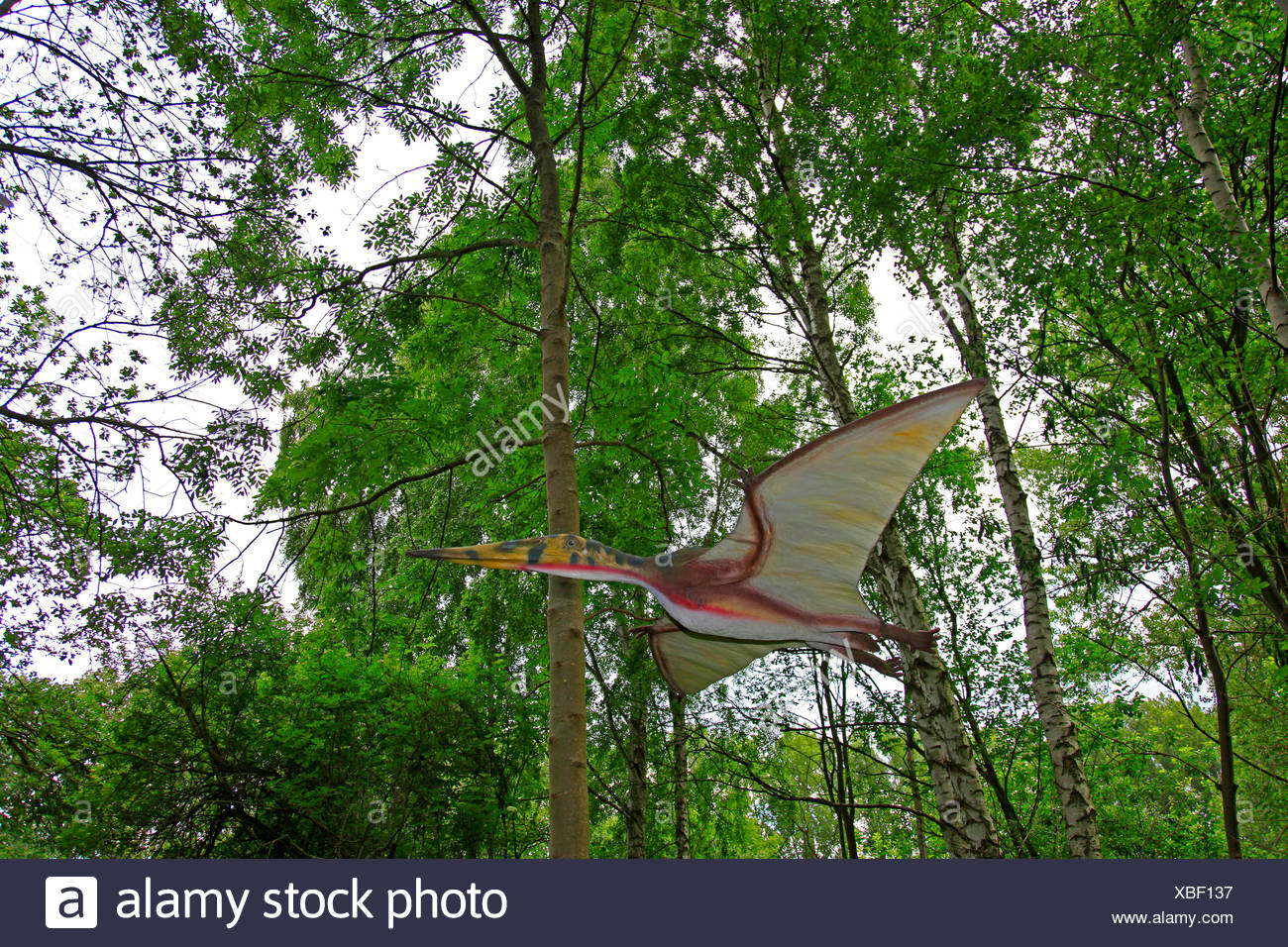 Flying Dinosaurs High Resolution Stock Photography and Images - Alamy