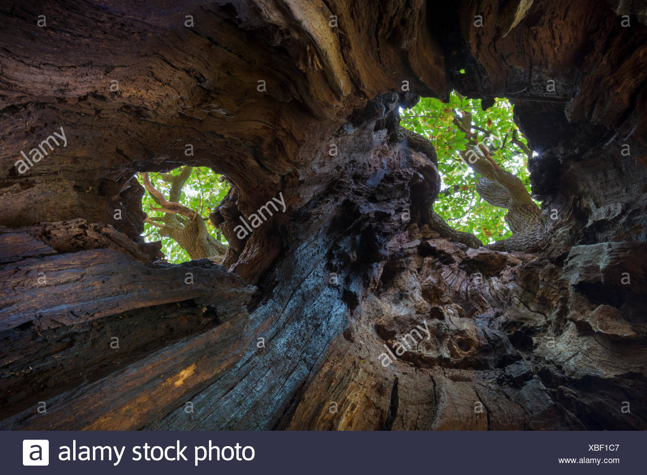 Open Holes High Resolution Stock Photography and Images - Alamy