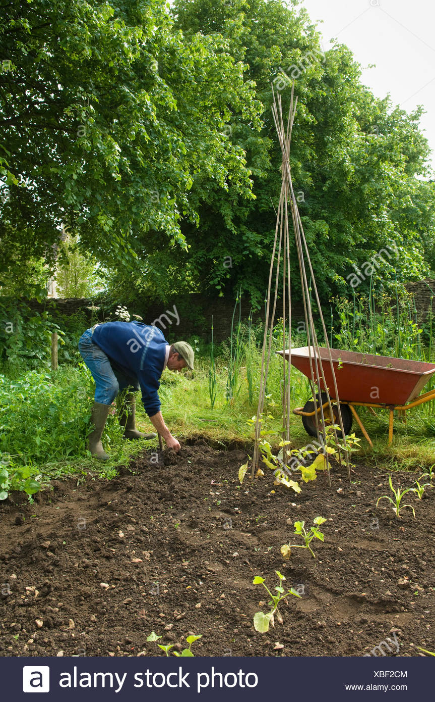 Adult Digging High Resolution Stock Photography and Images - Alamy