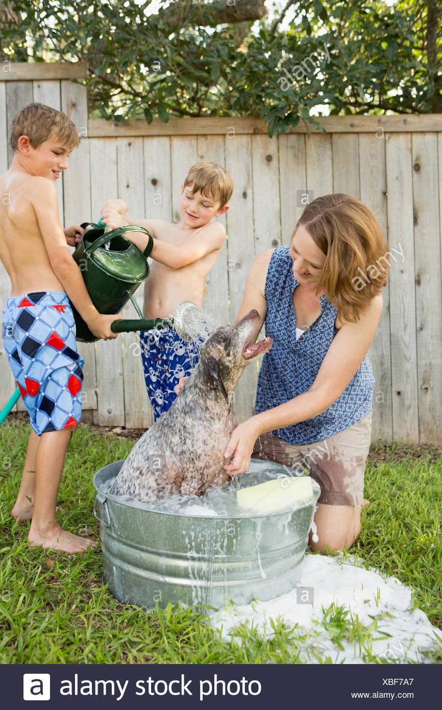 Washing The Dog High Resolution Stock Photography and Images - Alamy