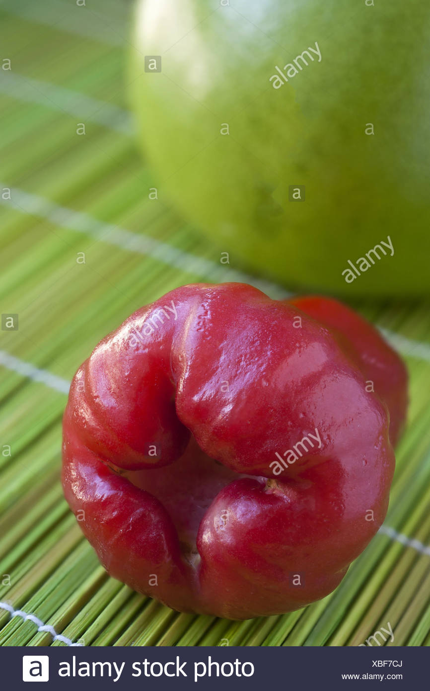 Java Rose Apple High Resolution Stock Photography and Images - Alamy