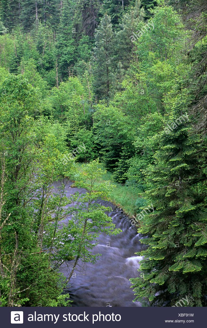 Tucannon River Trail High Resolution Stock Photography and Images - Alamy