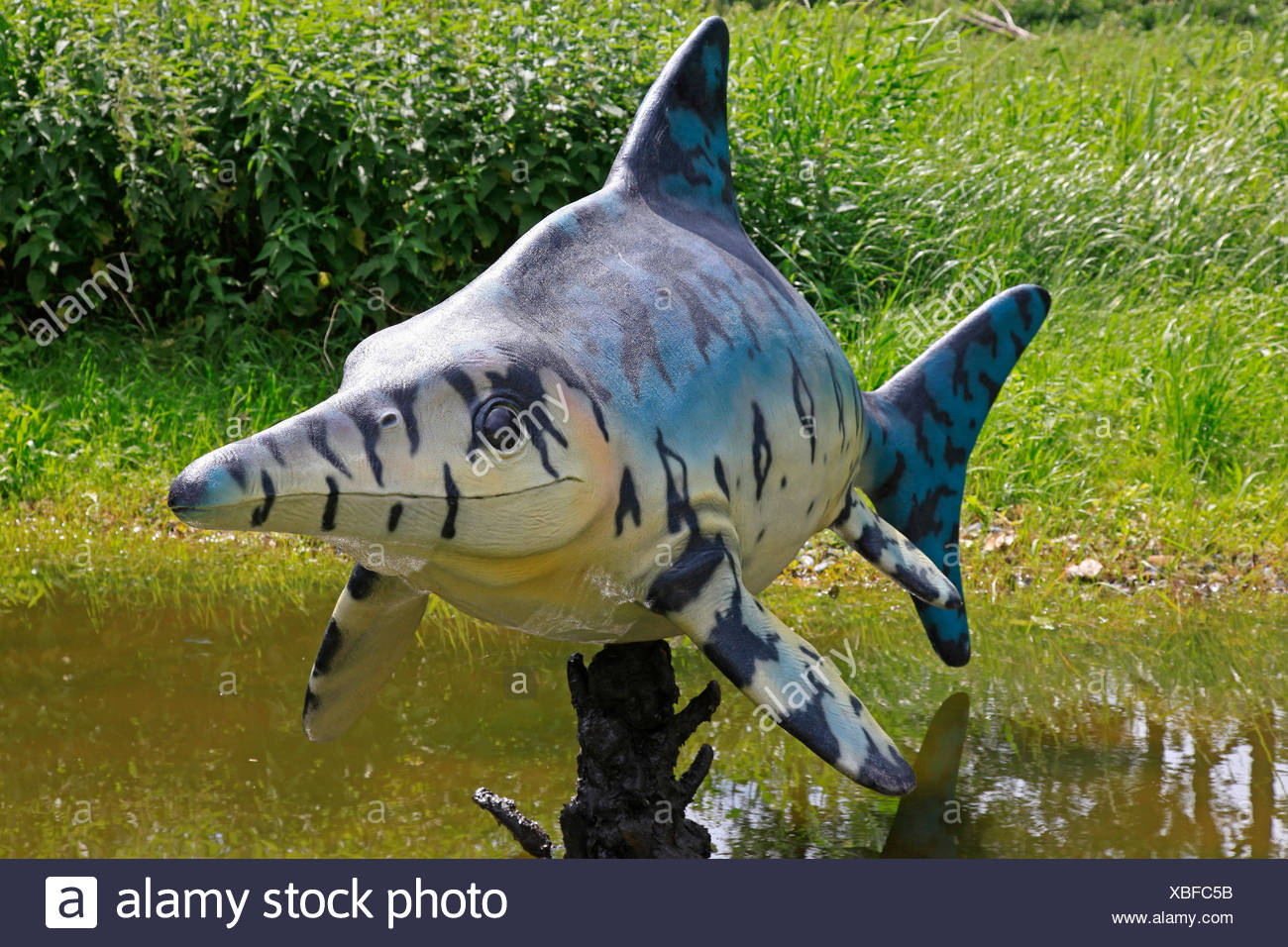 Prehistoric Species High Resolution Stock Photography and Images - Alamy