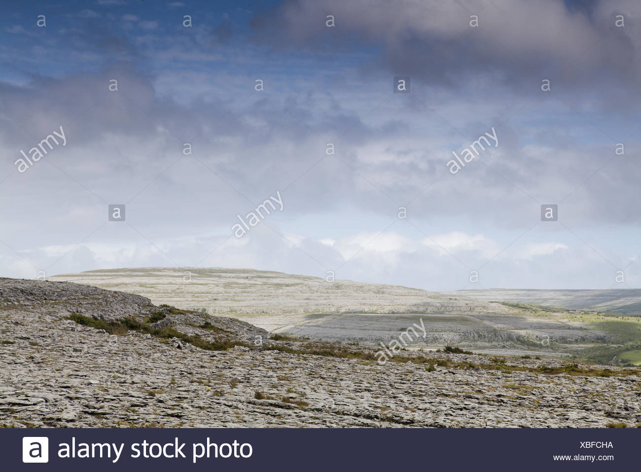 Limestone Leaching High Resolution Stock Photography and Images - Alamy