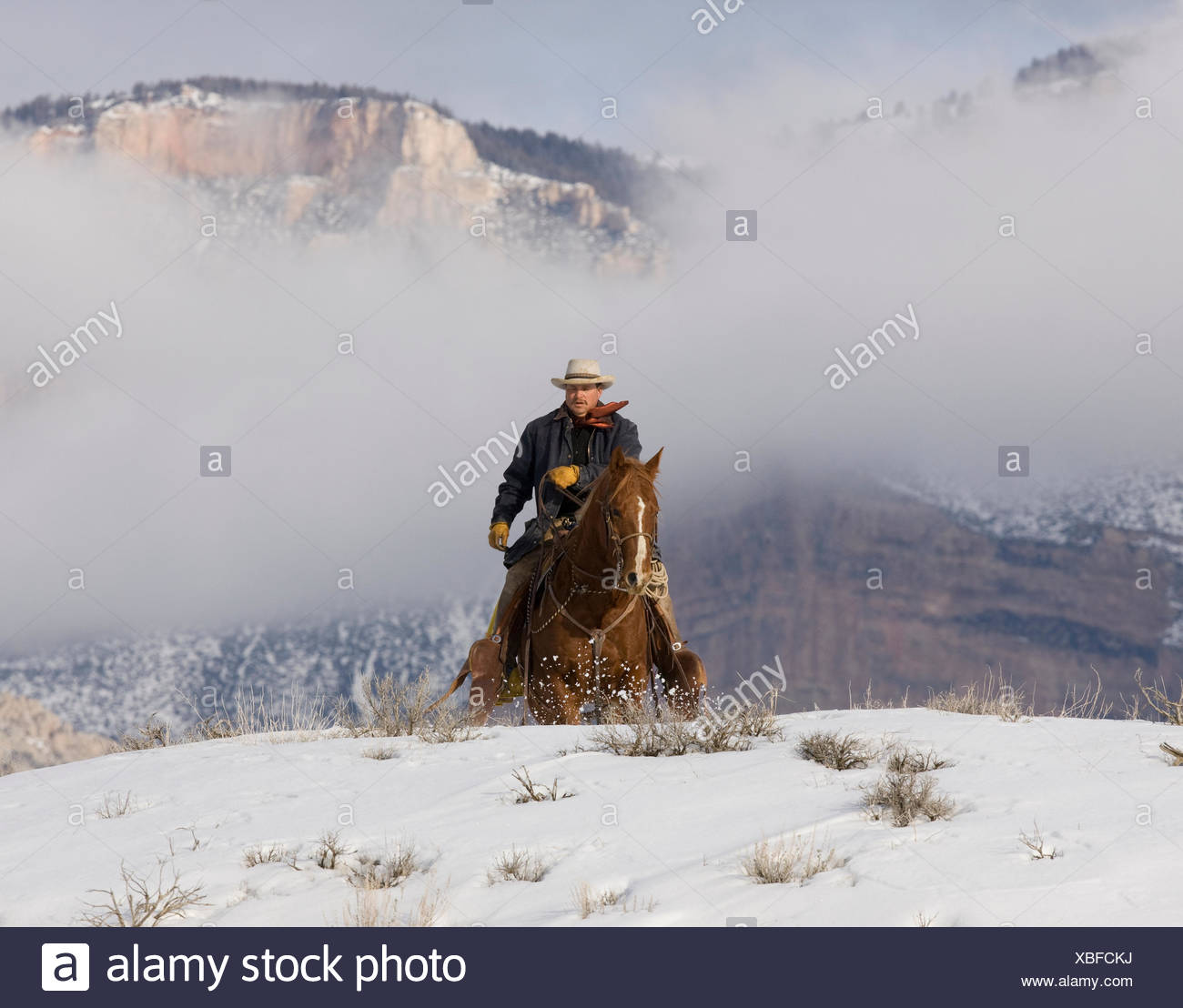 Cowboys Riding Horses In Snow High Resolution Stock Photography and ...