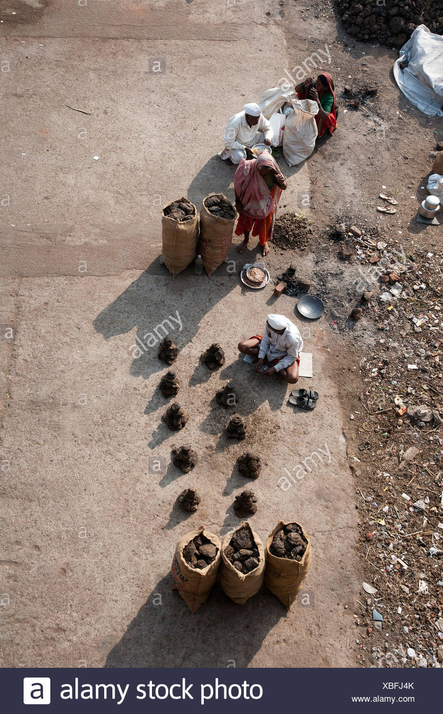 Cow Dung India Stock Photos & Cow Dung India Stock Images - Alamy