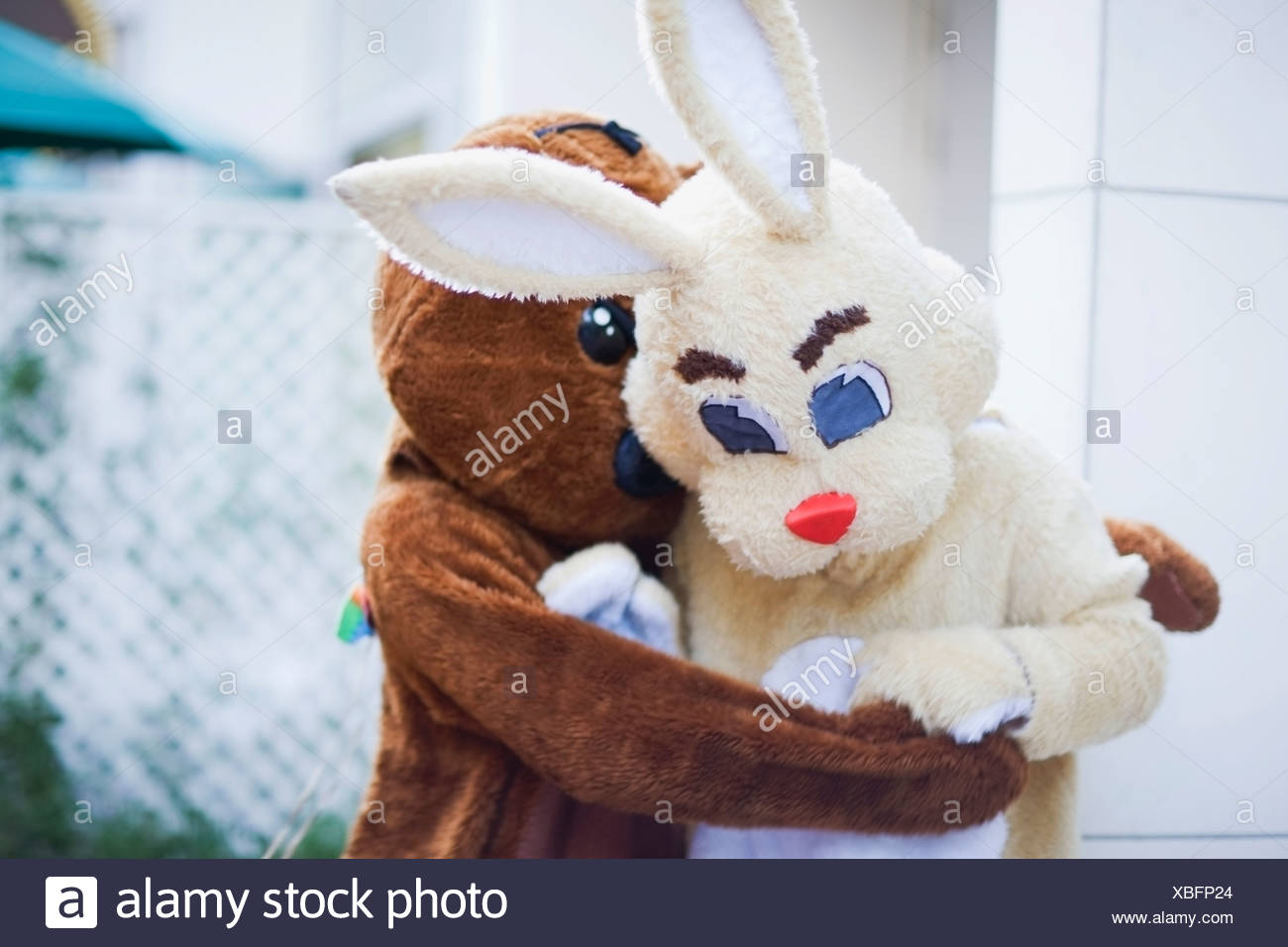 Bear And Rabbit High Resolution Stock Photography and Images - Alamy