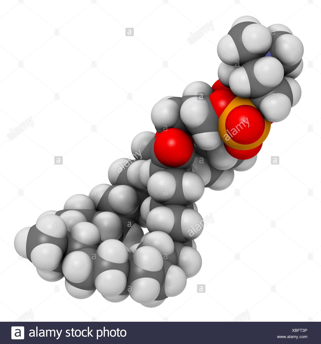 Surfactant High Resolution Stock Photography and Images - Alamy